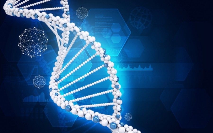 Παρέμβαση στο μιτοχονδριακό DNA για εξάλειψη ανίατων ασθενειών