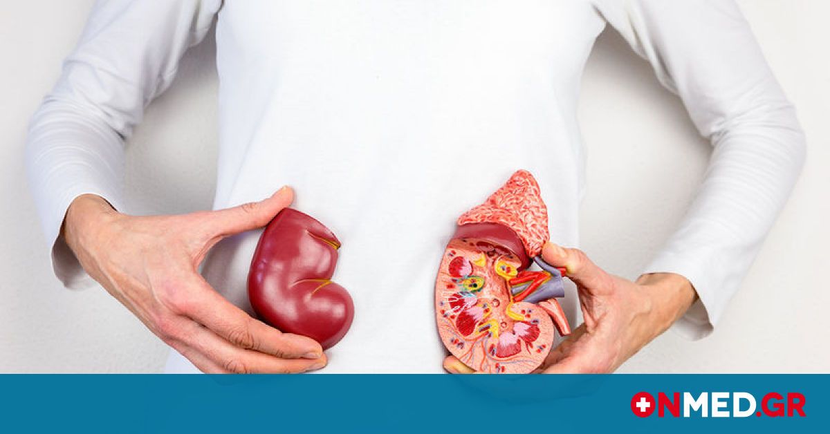 Παγκόσμια Ημέρα Νεφρού: Οι 8 «χρυσοί κανόνες» προστασίας των νεφρών