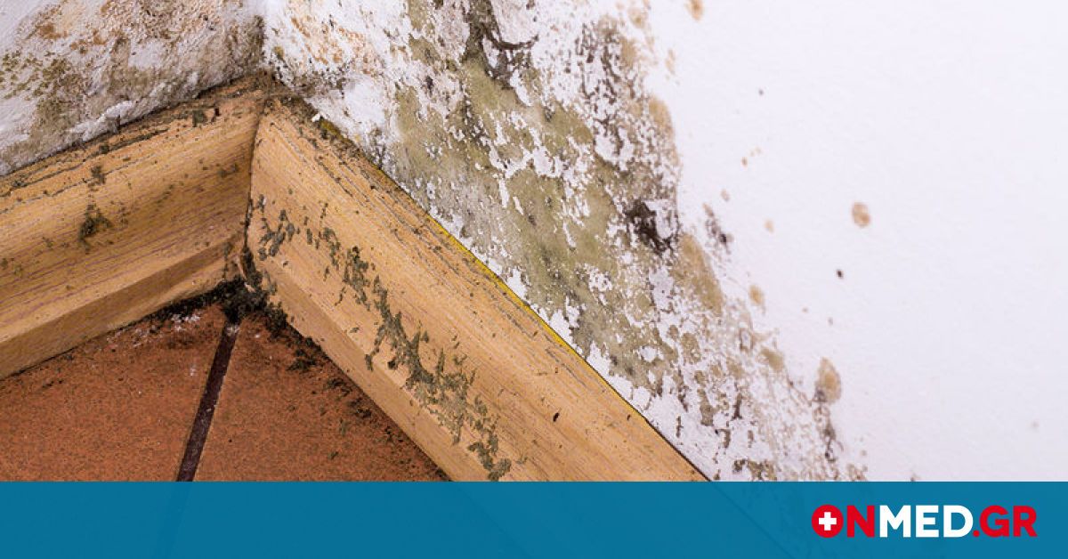 Μήπως το σπίτι σας ευνοεί την ανάπτυξη μούχλας;