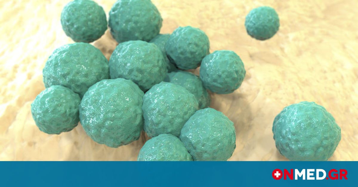 Ανακαλύφθηκε το πρώτο βακτήριο που προστατεύει από τον καρκίνο