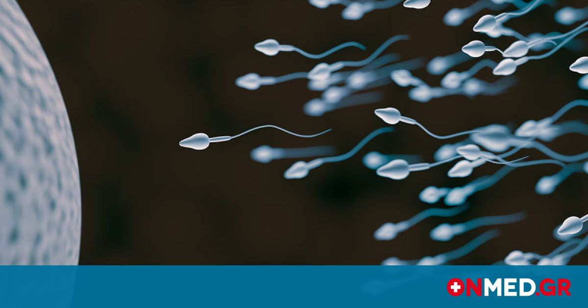 Αριθμός σπερματοζωαρίων: Τι δείχνει για την υγεία του άνδρα