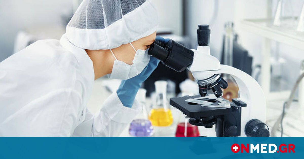 Νέα παγκόσμια συνεργασία του τμήματος Animal Health της Bayer και της ...