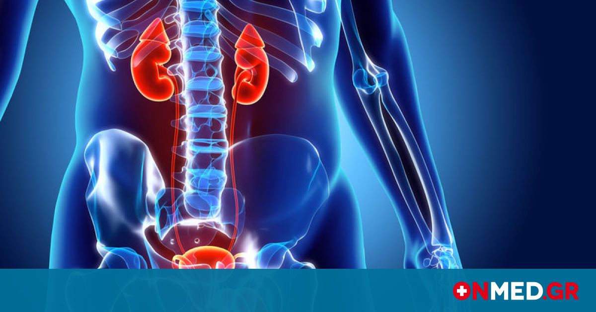 Ουροποιητικό σύστημα: Όσα πρέπει να γνωρίζετε για να το προστατεύσετε