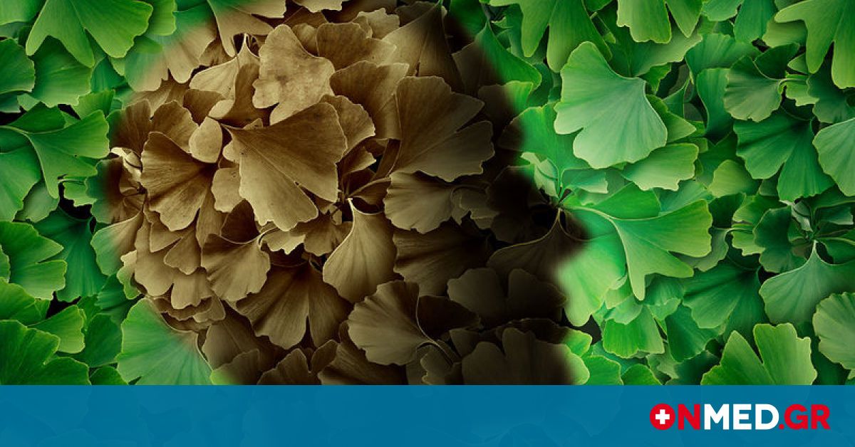 Δέκα τροφές που προστατεύουν από την άνοια και το Αλτσχάιμερ (pics)
