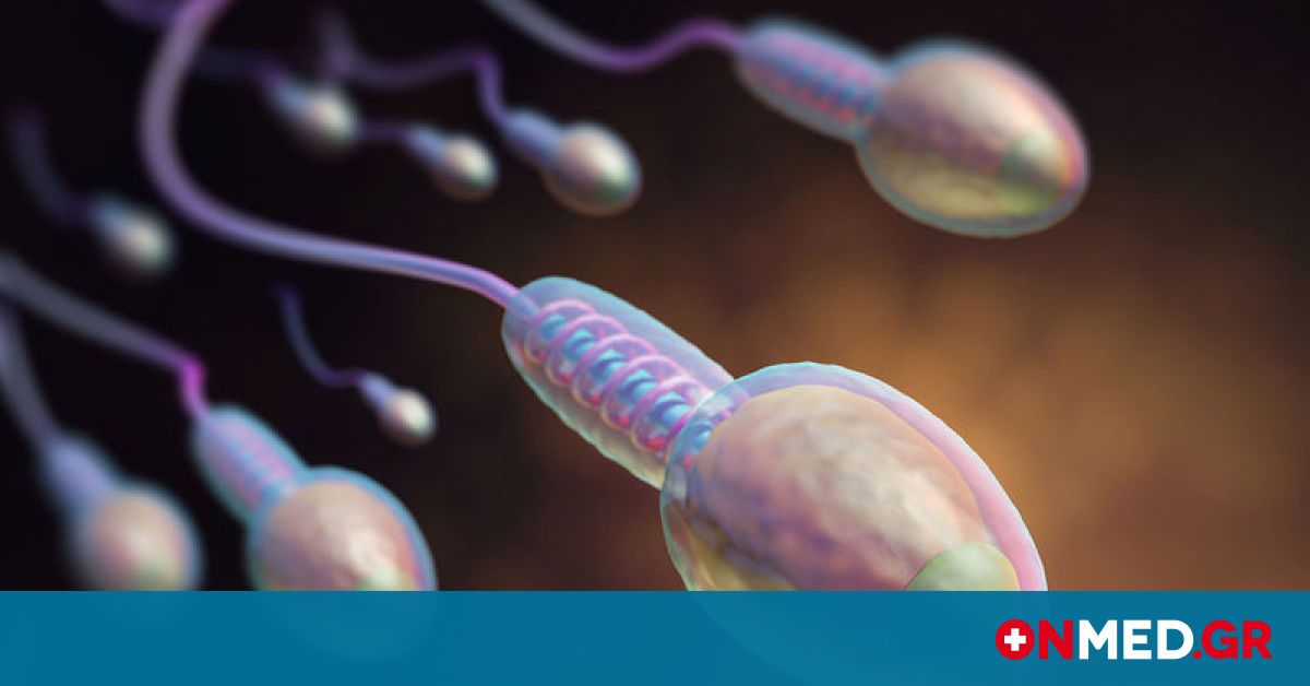 Σπερμοδιάγραμμα: Πότε είναι φυσιολογικό, τι δείχνει για την υγεία