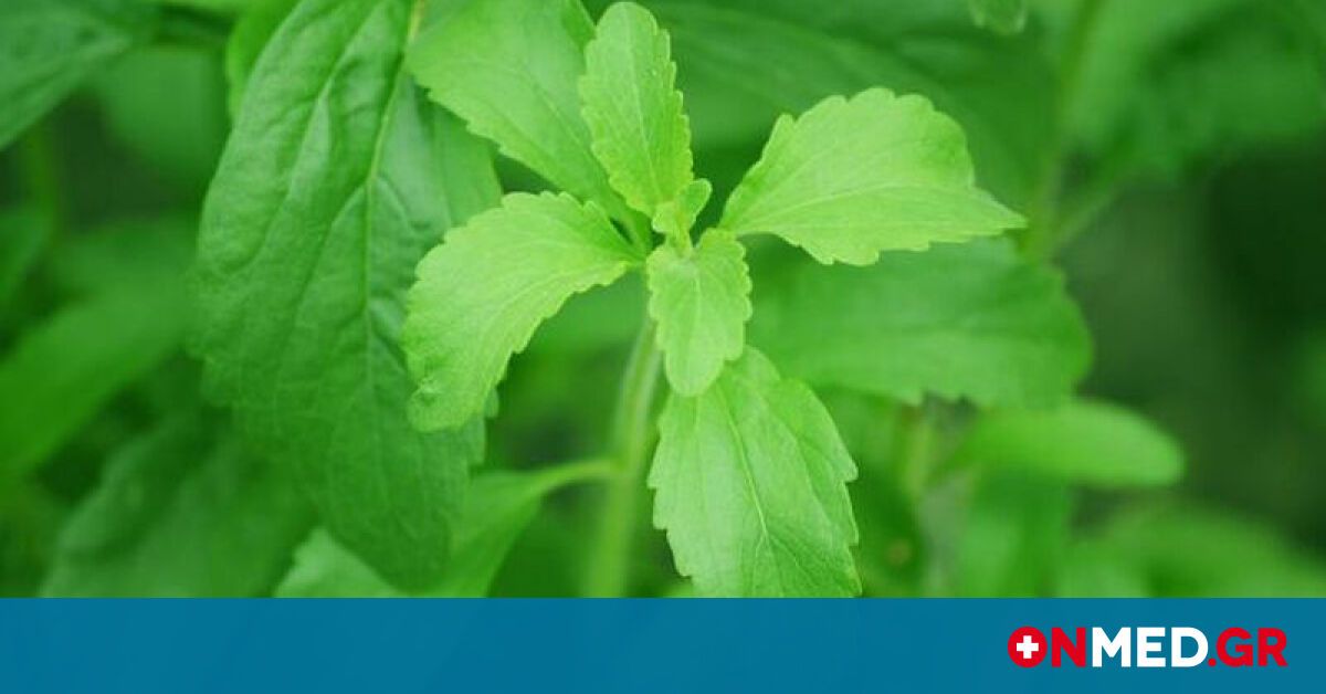 Στέβια: Τα υπέρ και τα κατά της κατανάλωσης