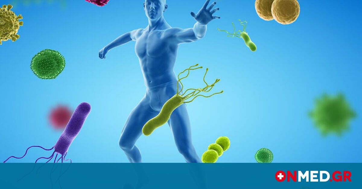 Κορονοϊός: Τα 5 καλύτερα βότανα και μπαχαρικά για το ανοσοποιητικό ...