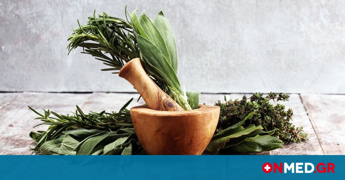 Βασιλικός & φασκόμηλο: Τα οφέλη τους για τα νεφρά (βίντεο)