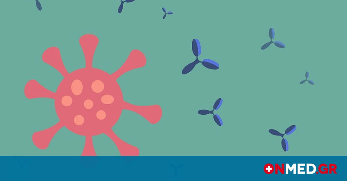 Κορονοϊός: Νέο κοκτέιλ μονοκλωνικών αντισωμάτων έναντι του SARS-CoV-2