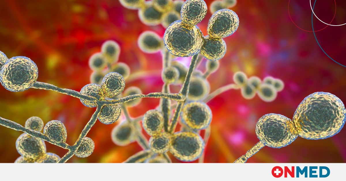 CDC: O θανατηφόρος μύκητας που εξαπλώνεται «με ανησυχητικό ρυθμό»